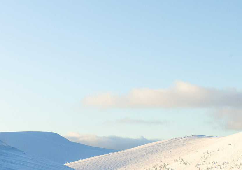 Where to find us – VOSS Water Global